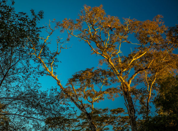 Apprendre à dessiner sur petit format - les avantages