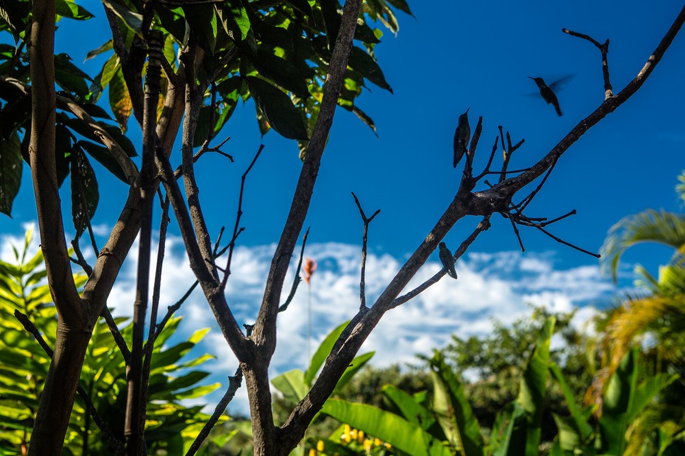 Apprendre à dessiner sur petit format - les avantages