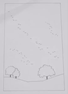 Comment Décalquer un Dessin avec du Papier Calque