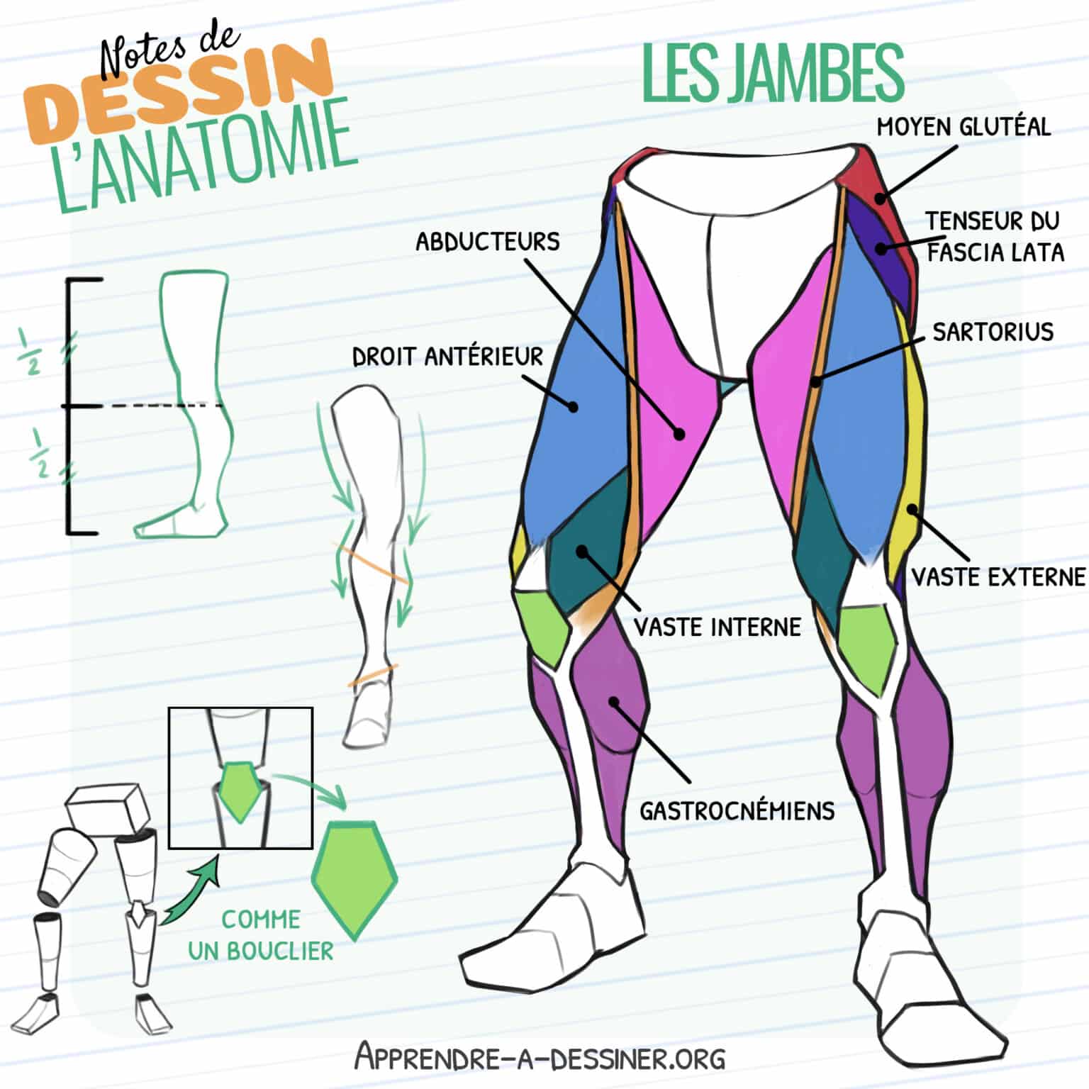 Apprendre l’Anatomie en Dessin et Dessiner le Corps Humain