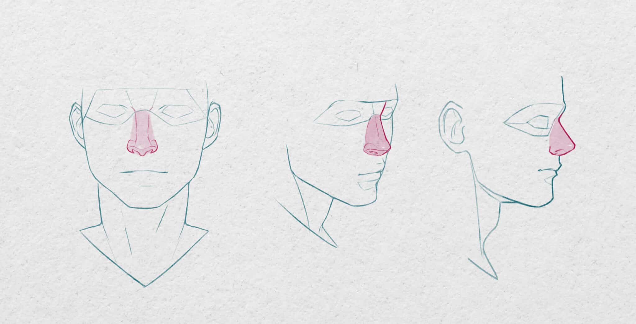 Comment dessiner un nez : Techniques faciles pour un dessin réaliste Apprendre a dessiner